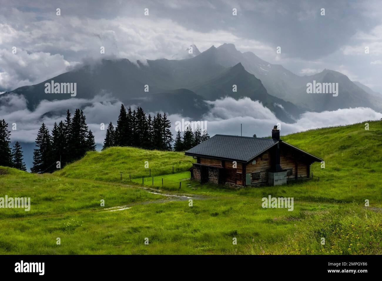 A farmhouse in an agricultural landscape, the opposite mountains of the ...