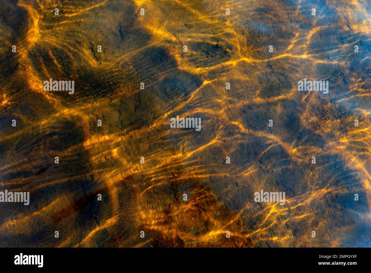 Bright reflection of the sun from the waves of transparent water with a ...