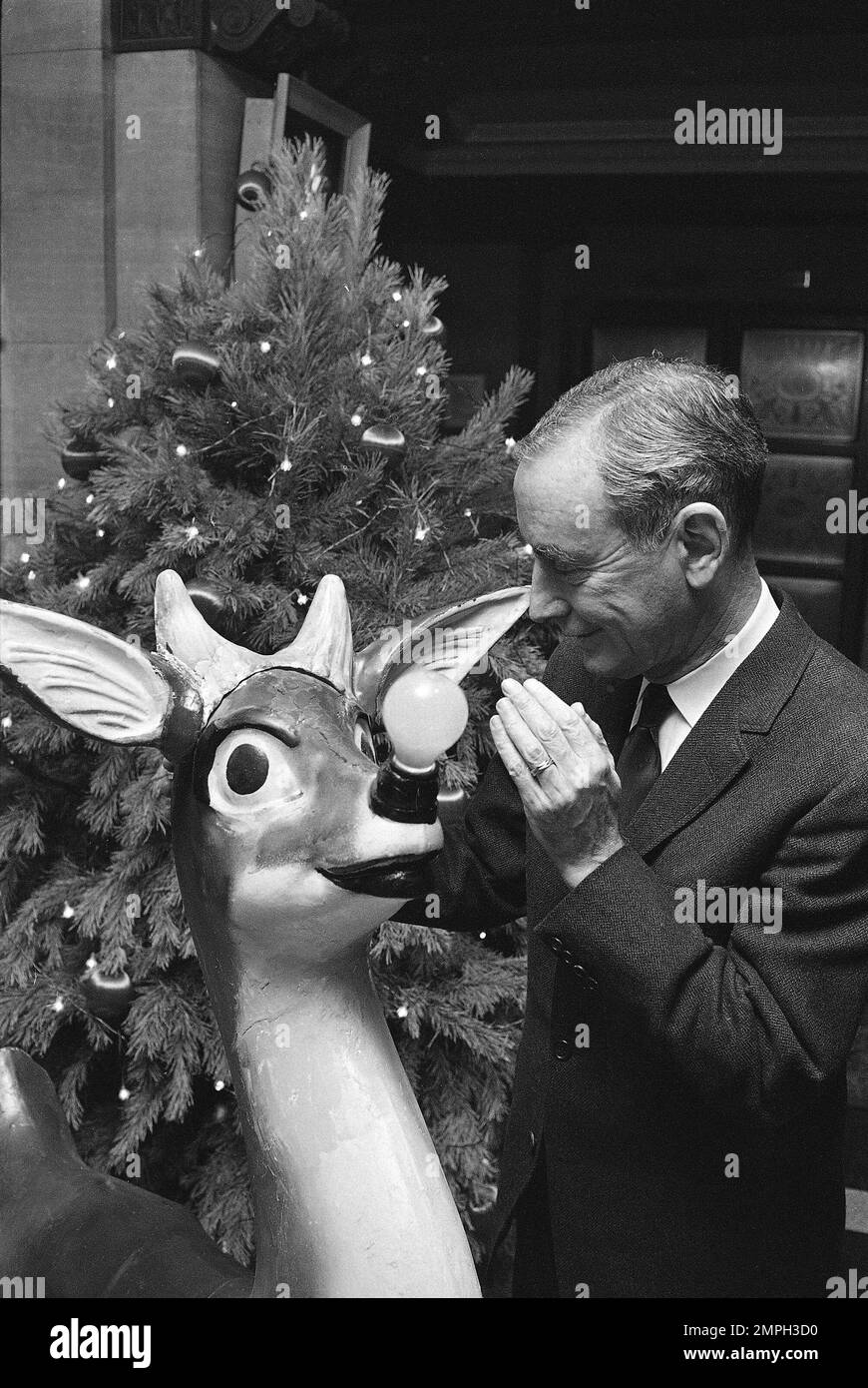 Rudolph the Red-Nosed Reindeer, whose bright proboscis is supposed to ...