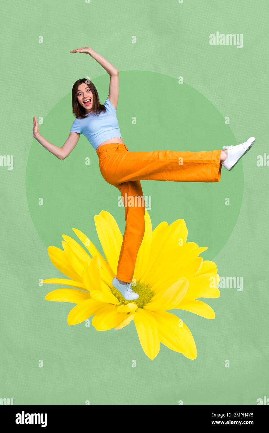 Vertical creative photo collage of astonished impressed funny careless ...