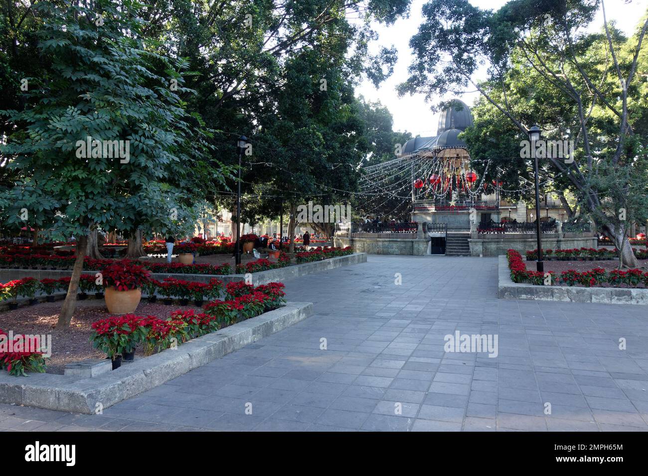 Oaxaca mexico square hi-res stock photography and images - Alamy