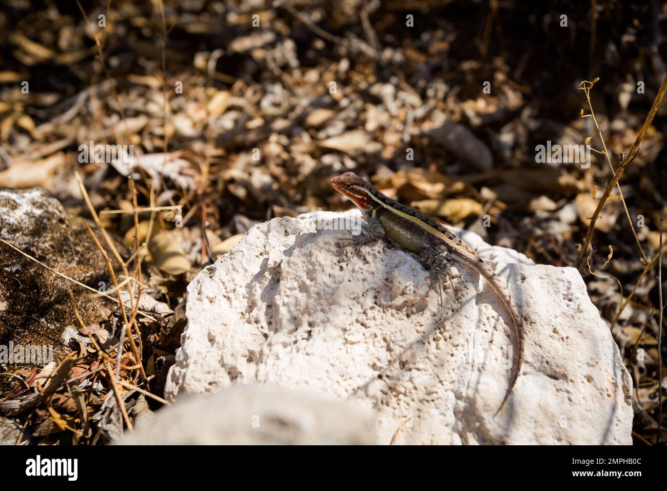 Beautiful landscape of San Lorenzo Albarradas mountains in Hierve el ...