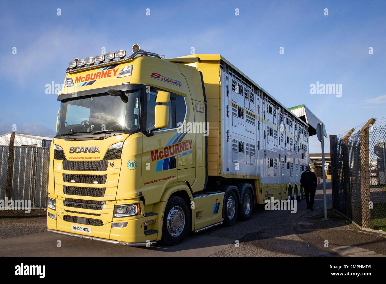 A haulage lorry carrying sheep leaving the Department for Environment ...