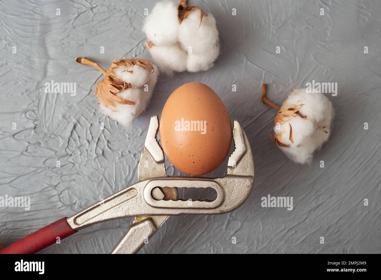 A Spanner wrench Holding An Egg on gray cement background, with cotton ...