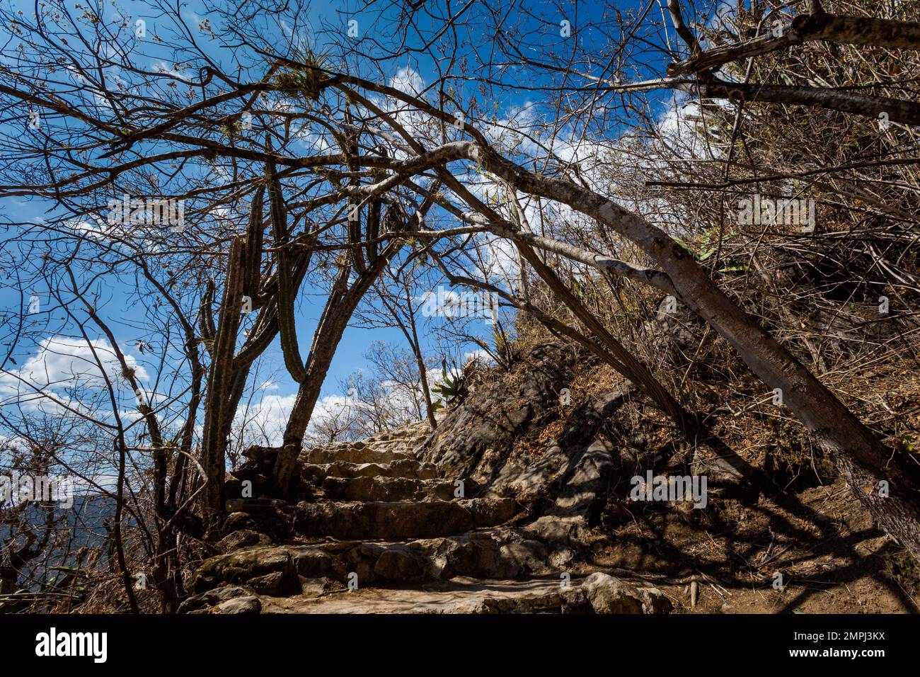 Beautiful landscape of San Lorenzo Albarradas mountains in Hierve el ...
