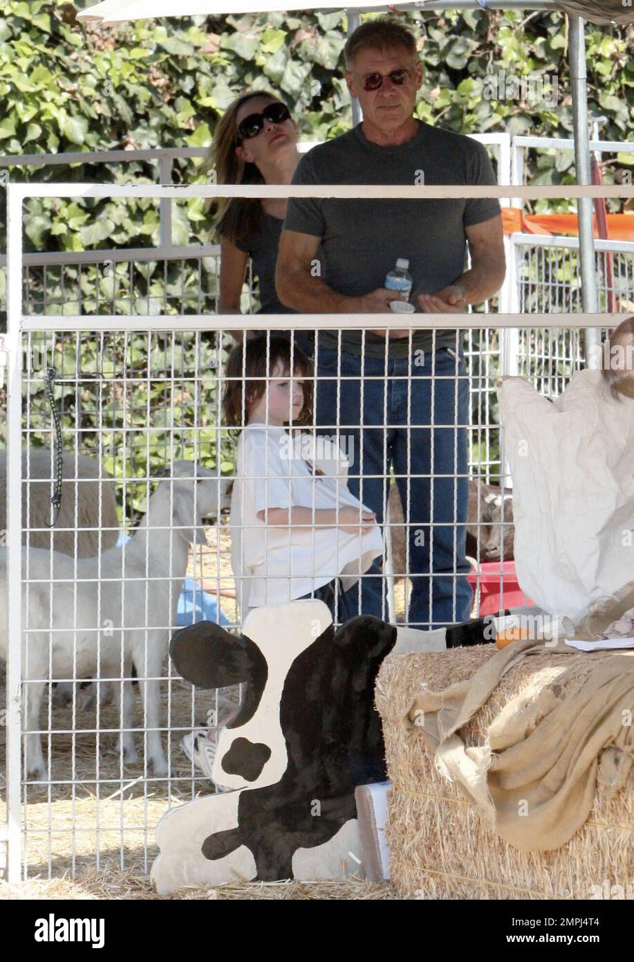 Calista Flockhart and Harrison Ford take little Liam on a pumpkin hunt ...