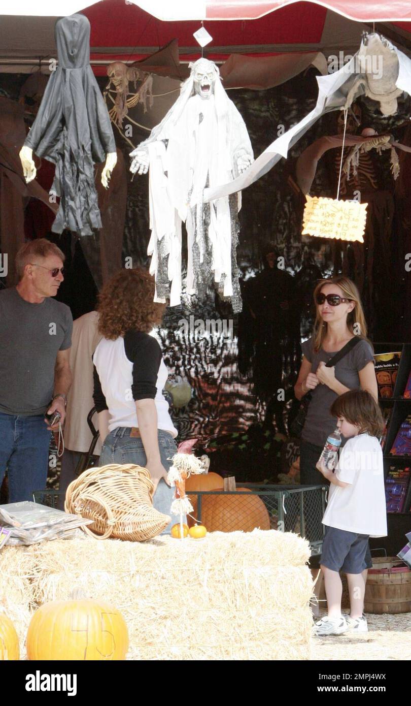 Calista Flockhart and Harrison Ford take little Liam on a pumpkin hunt ...