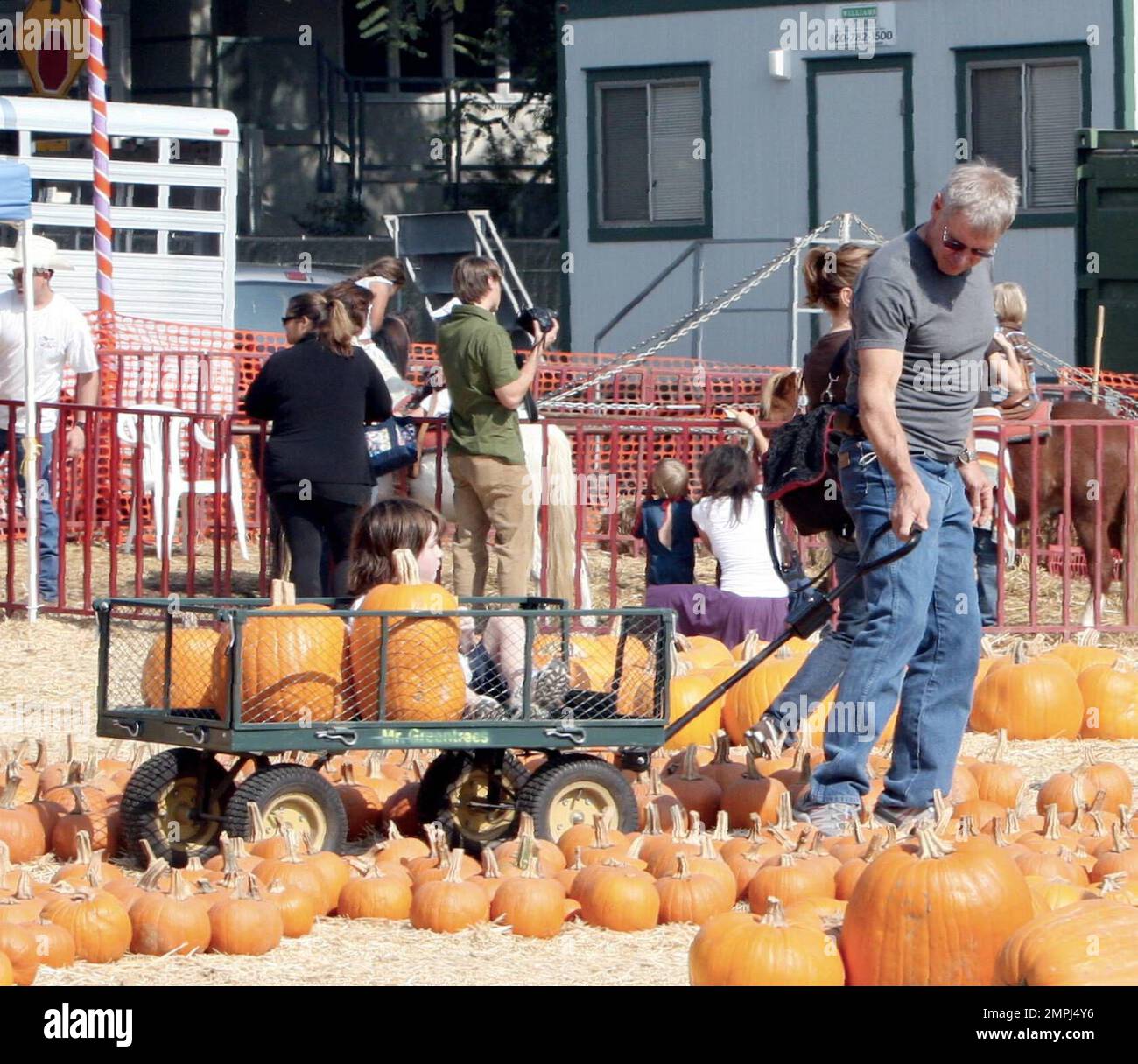 Calista Flockhart and Harrison Ford take little Liam on a pumpkin hunt ...