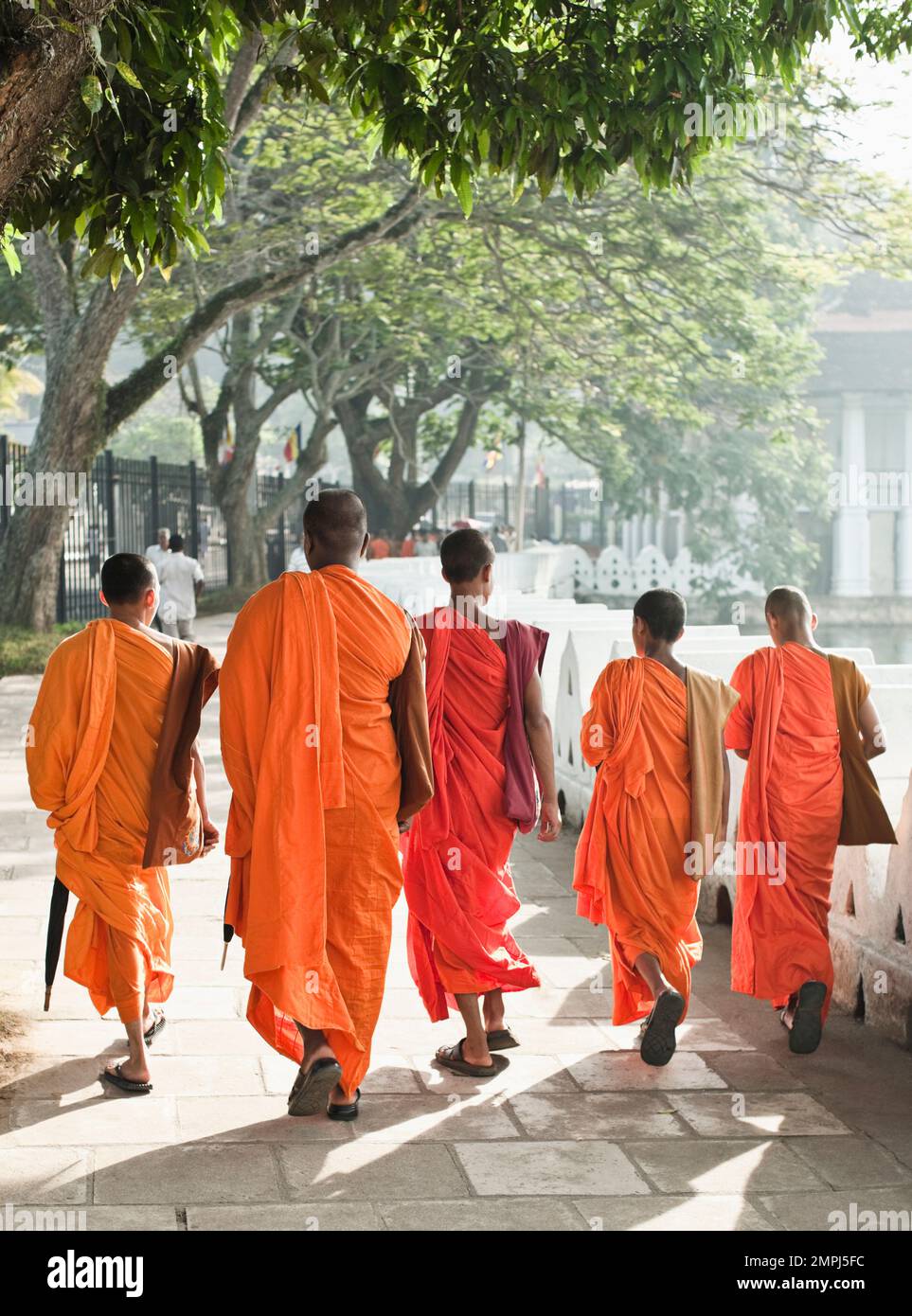 Buddhist monks walk by Kandy Lake on their way to temple. Kandy, Sri ...