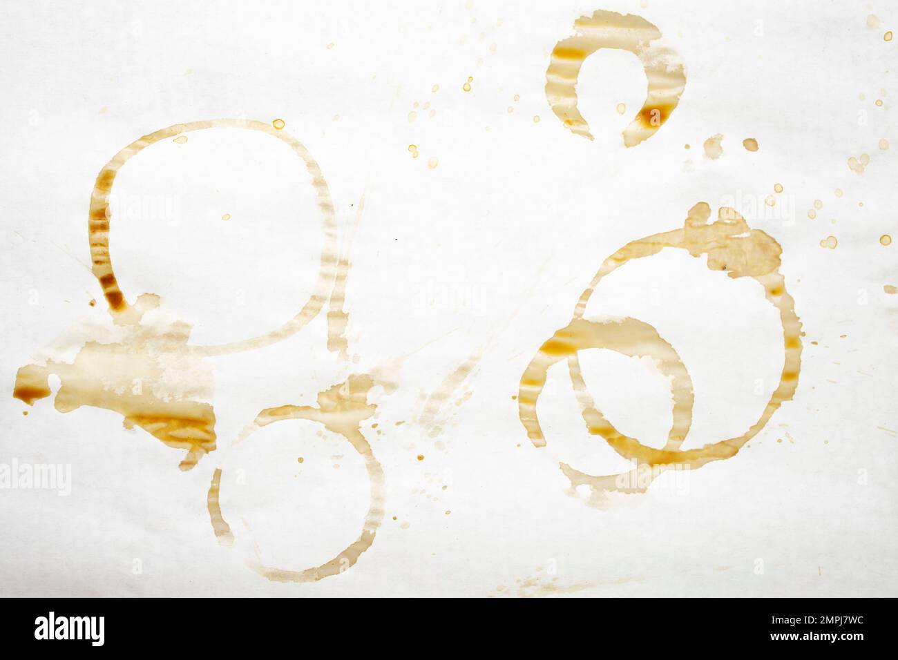 coffee marks on white paper, abstract morning background Stock Photo ...