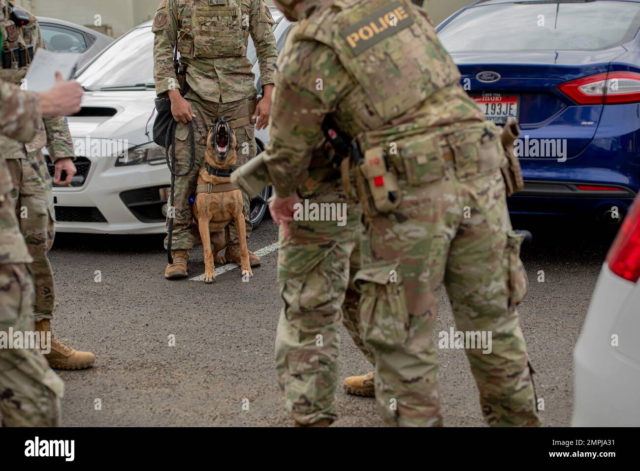 U.S. Air Force Staff Sgt. Caleb Brown, a military working dog (MWD ...