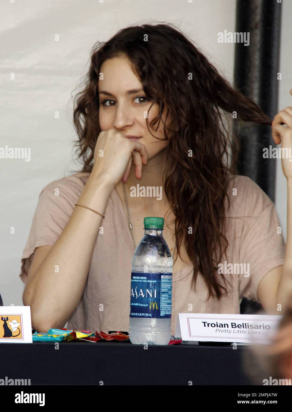 Troian Bellisario at the Camp Ronald McDonald For Good Times 20th ...