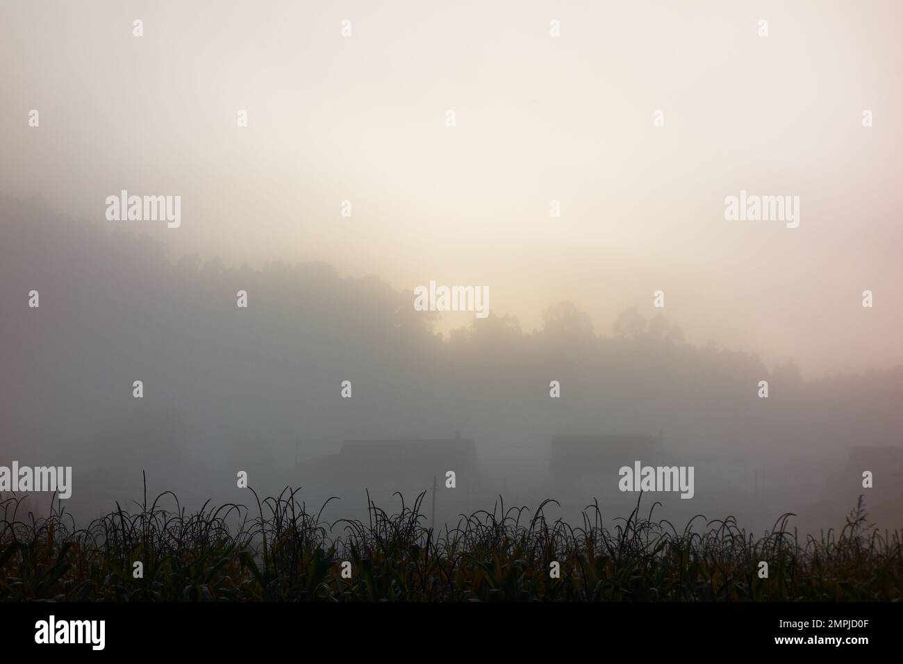 Magic nature of Spain along the Camino de Santiago Stock Photo - Alamy