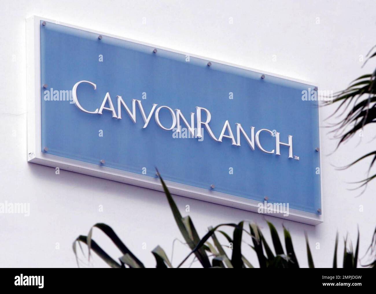 Exclusive!! "CSI: Miami" star David Caruso has reportedly purchased a ...