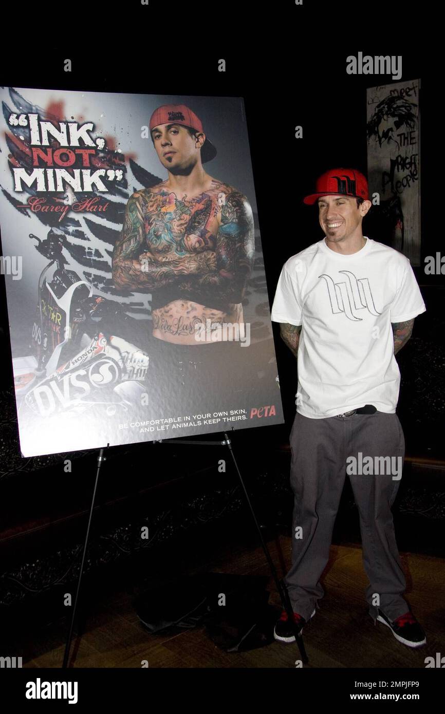 Motocross star Carey Hart unveils his new PETA promotional ad which ...