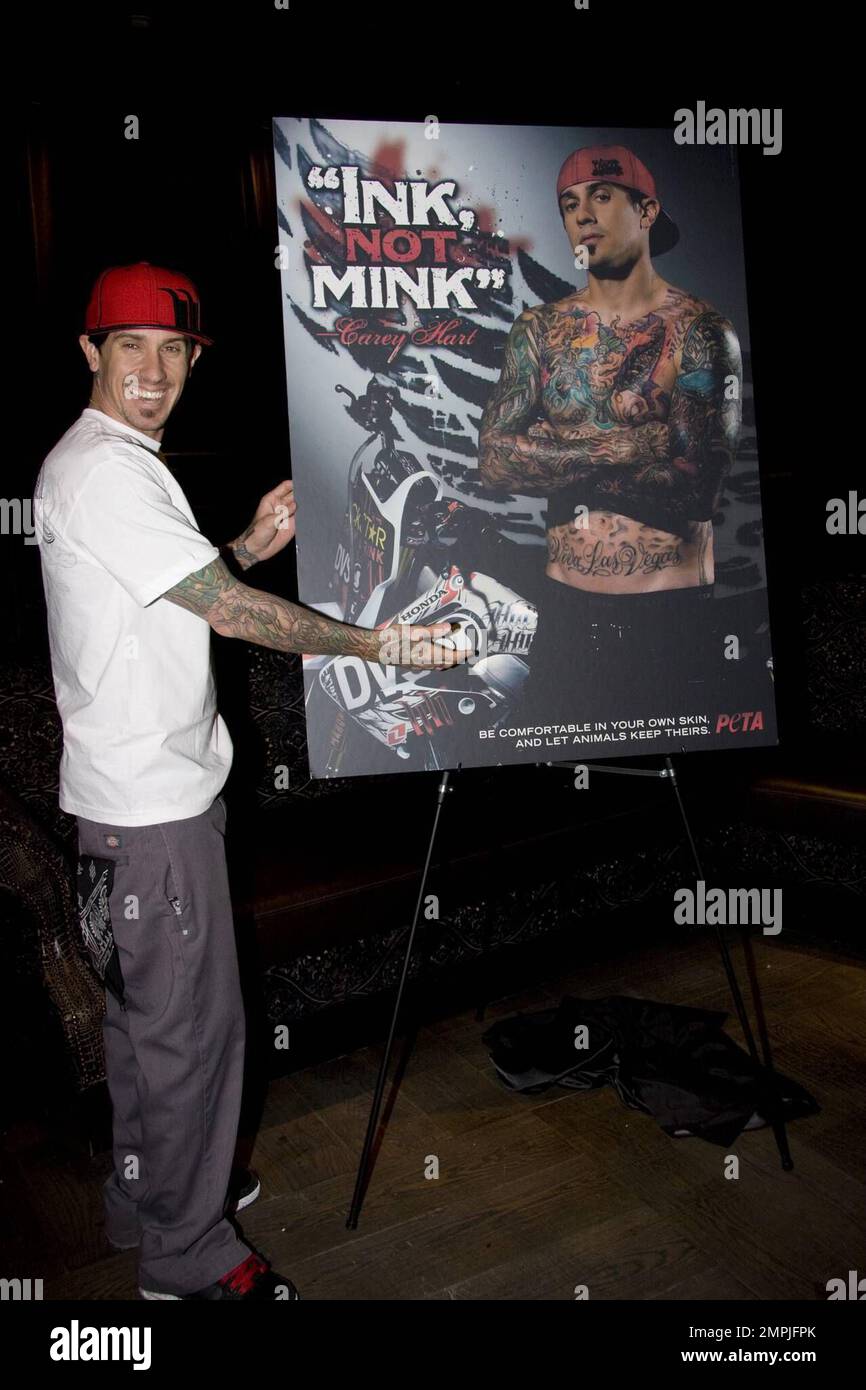 Motocross star Carey Hart unveils his new PETA promotional ad which ...