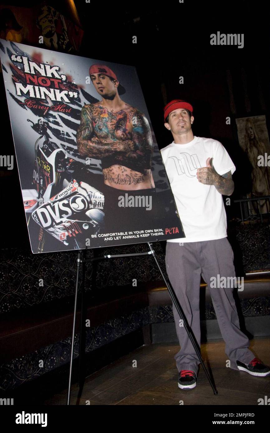 Motocross star Carey Hart unveils his new PETA promotional ad which ...