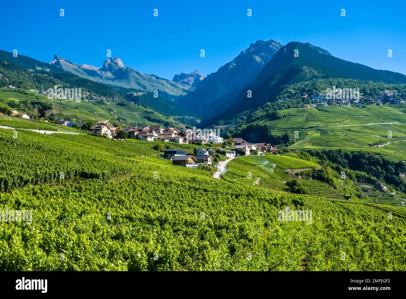 Agricultural landscape with vineyards, small villages and the mountains ...