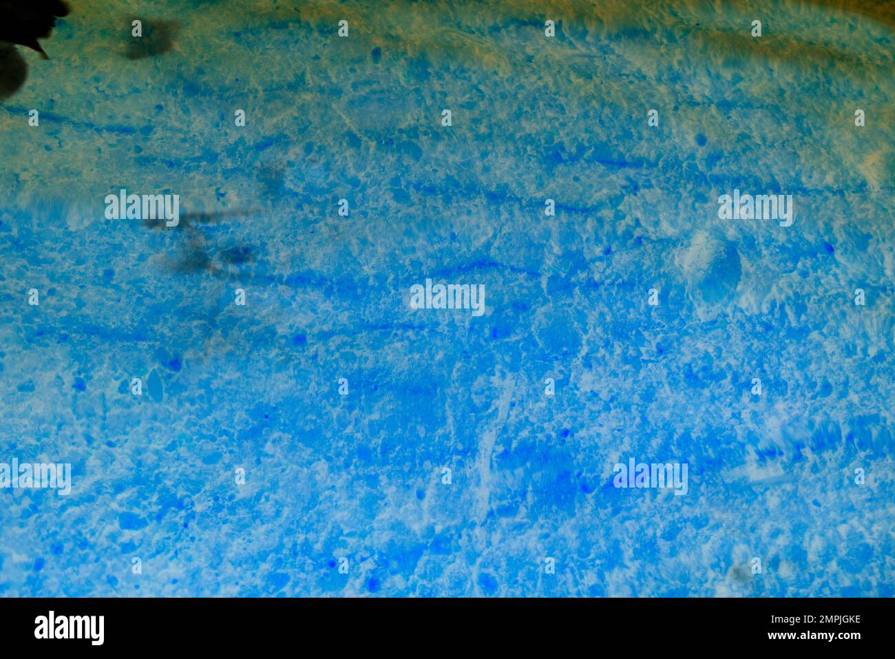 Abstract photo of a neon blue glow of transparent clear water with a ...