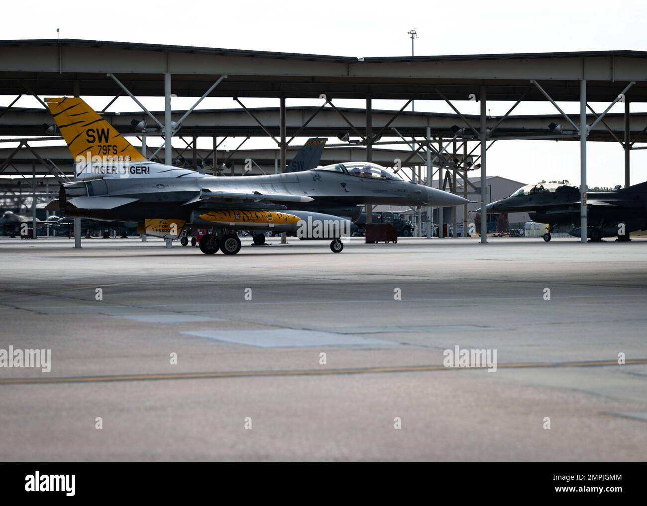 The U.S. Air Force 79th Fighter Squadron (FS) heritage F-16C Fighting ...