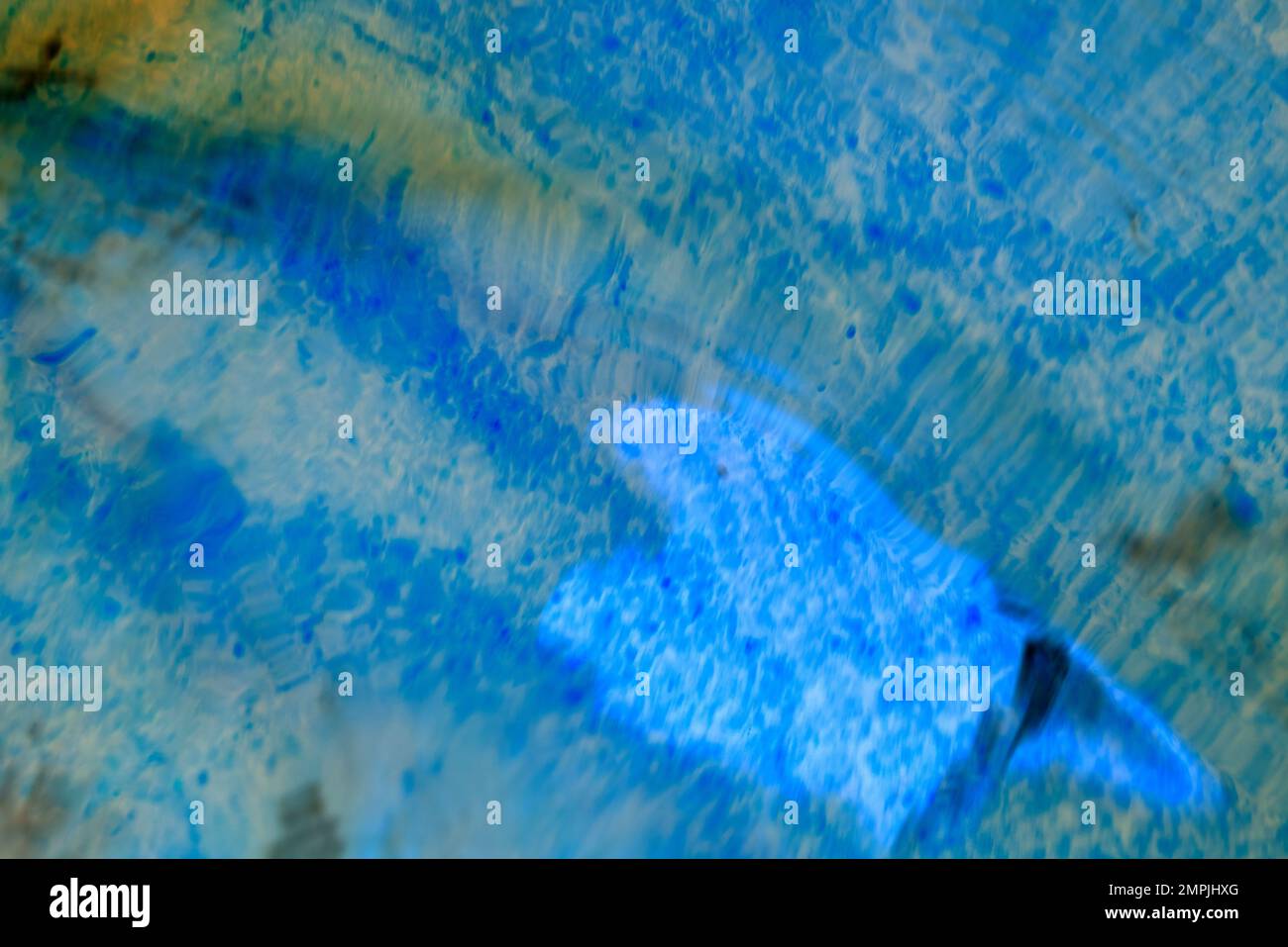 Abstract photo of a neon blue glow of transparent clear water with a ...