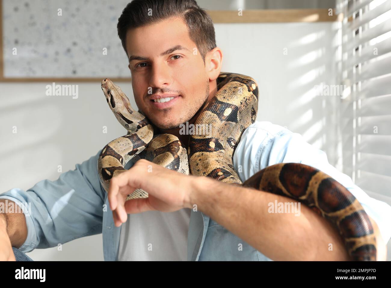 Man with his boa constrictor at home. Exotic pet Stock Photo - Alamy