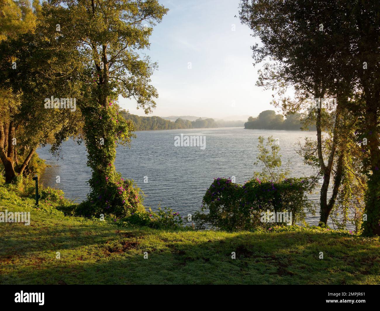 Magic nature of Spain along the Camino de Santiago Stock Photo - Alamy