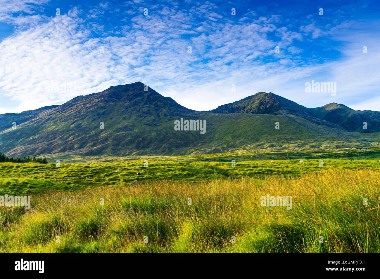 The Ring of Kerry Mountains West Ireland Stock Photo - Alamy