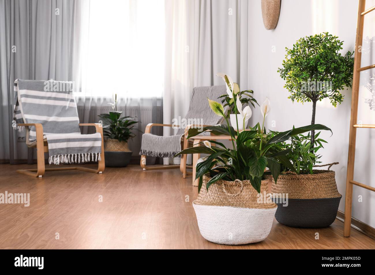 Beautiful potted plants in stylish room interior. Design elements Stock ...