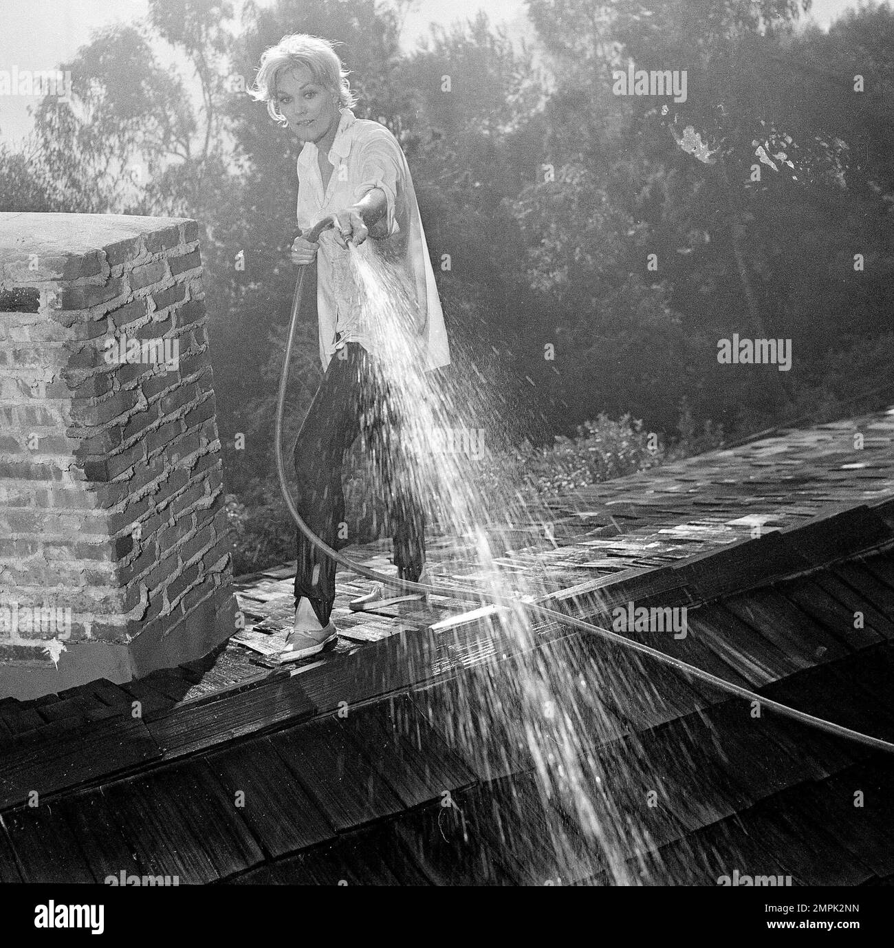 File - In this Nov. 6, 1961 file photo, actress Kim Novak uses a garden ...