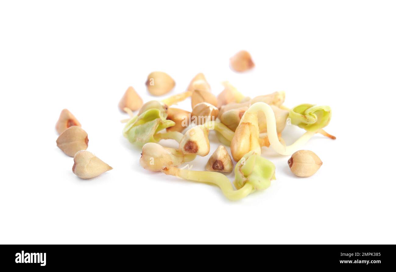 Sprouted green buckwheat grains isolated on white Stock Photo - Alamy