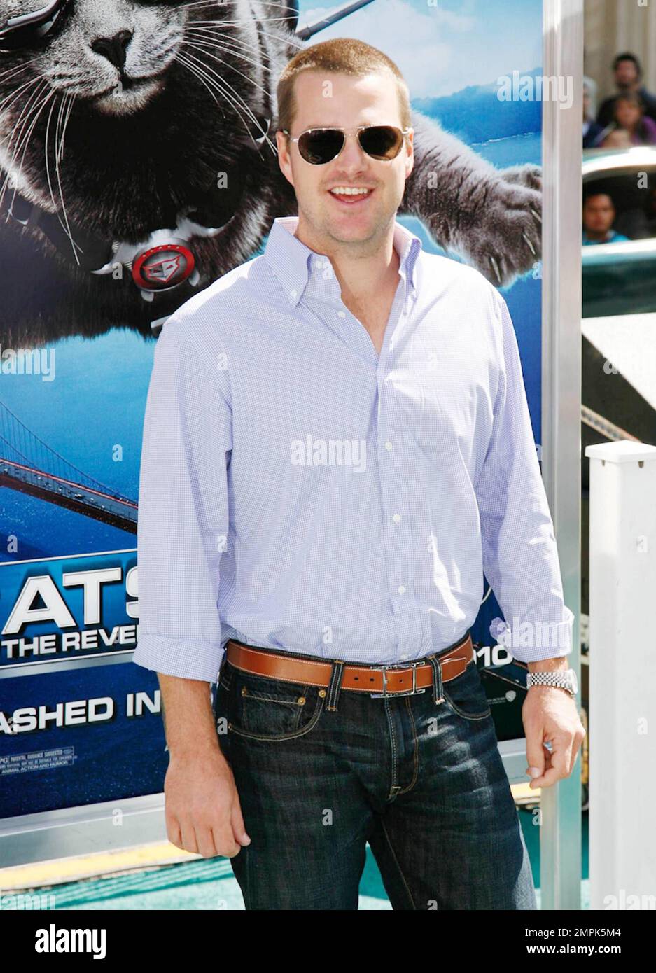 Chris O'Donnell walks the green carpet for the Los Angeles premiere of ...