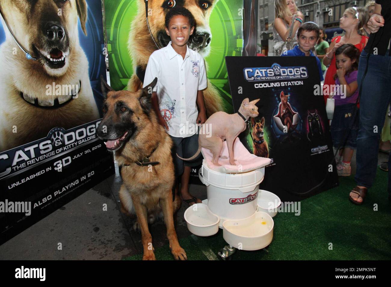 Actor Michael Algieri poses with animal film stars Diggs and Kitty ...