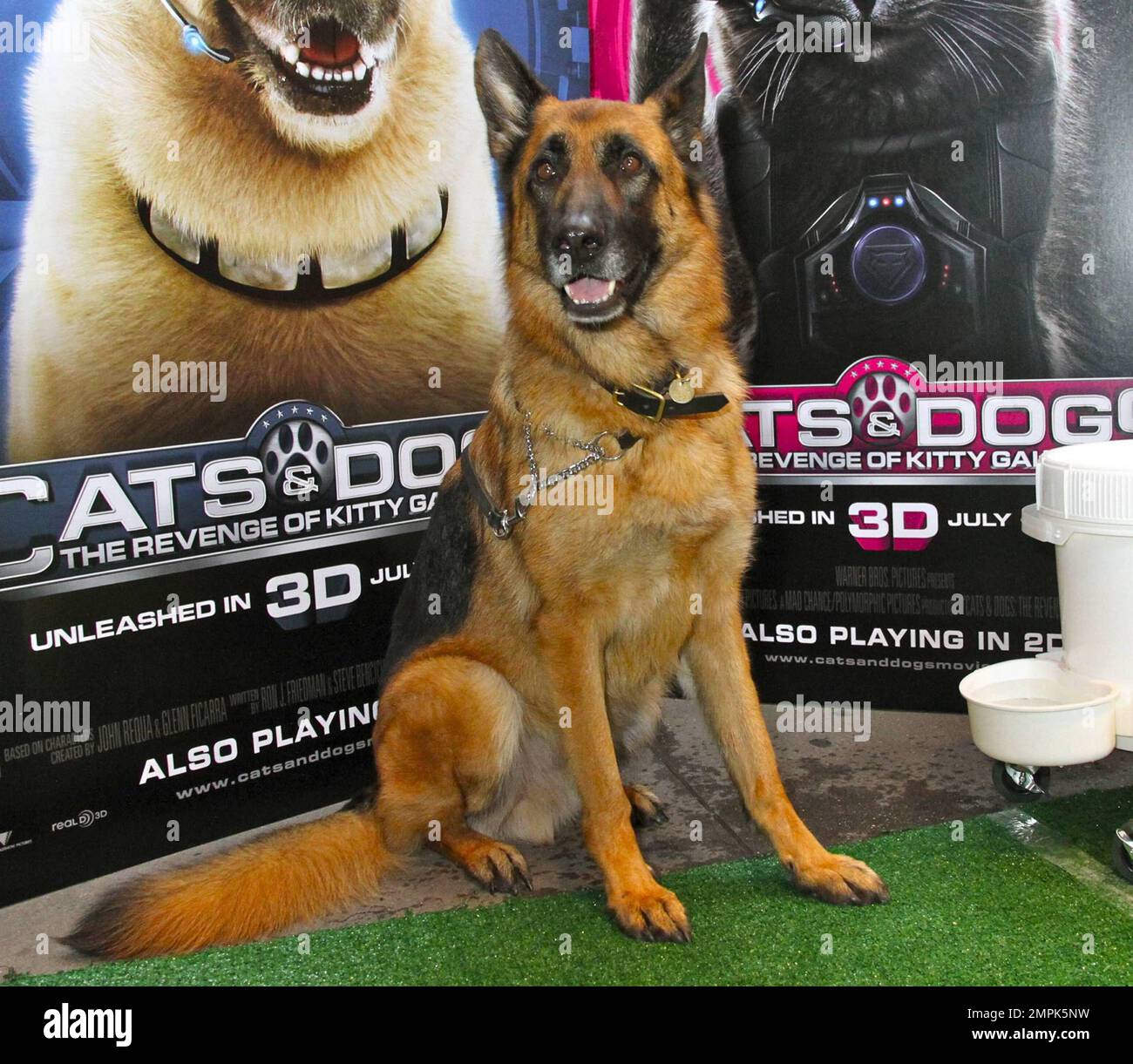 Animal film star Diggs attends a screening of Warner Bros. "Cats & Dogs ...