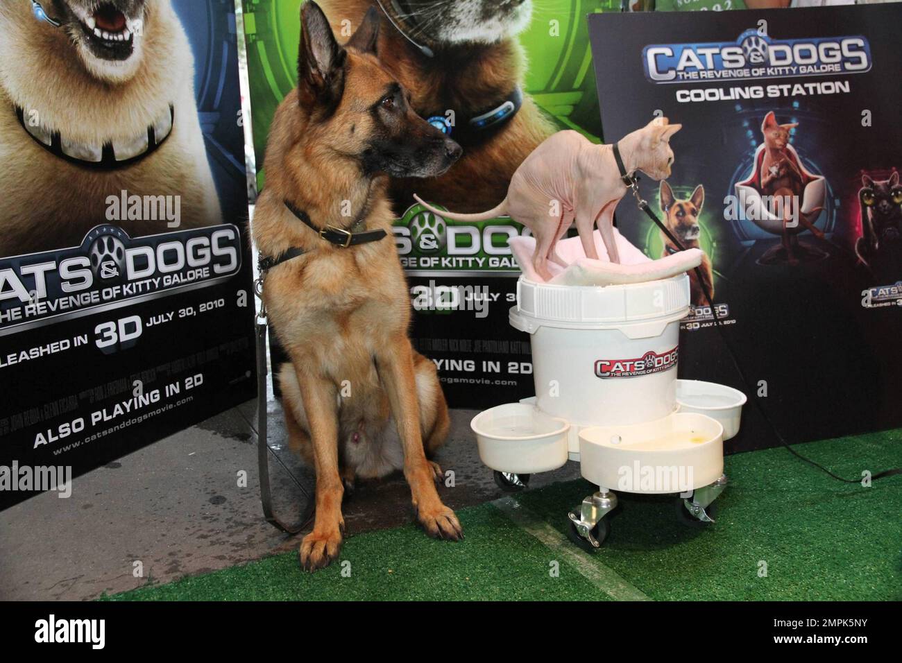 Animal film stars Diggs and Kitty Galore attend a screening of Warner Bros. "Cats & Dogs: The ...