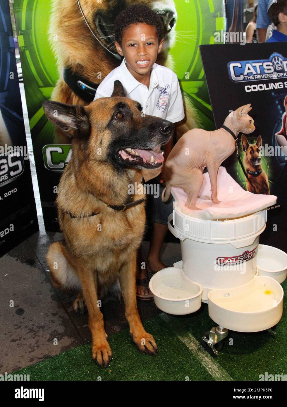 Actor Michael Algieri poses with animal film stars Diggs and Kitty ...