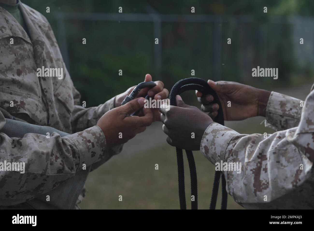 Recruits with Alpha Company, 1st Recruit Training Battalion, learn and ...