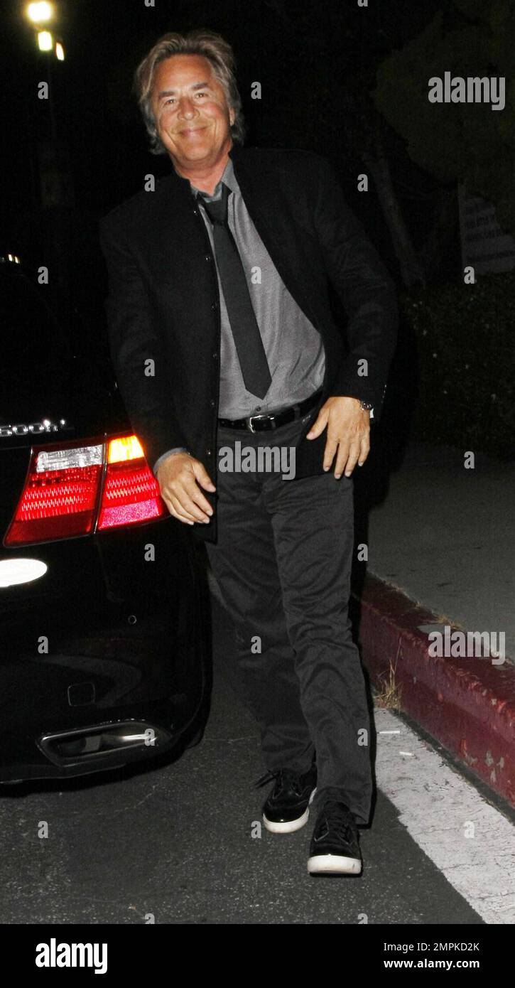 Don Johnson and his wife Kelley attend the Prince concert at the Forum ...