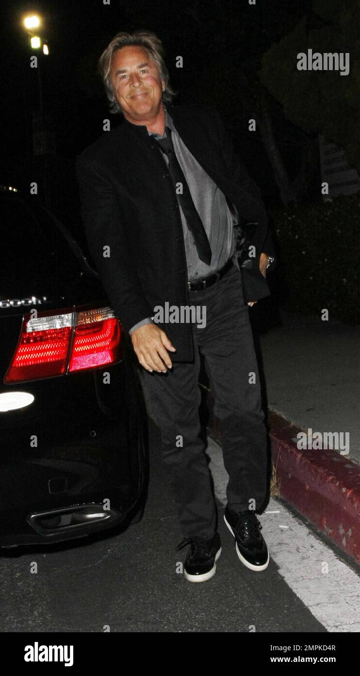 Don Johnson and his wife Kelley attend the Prince concert at the Forum ...