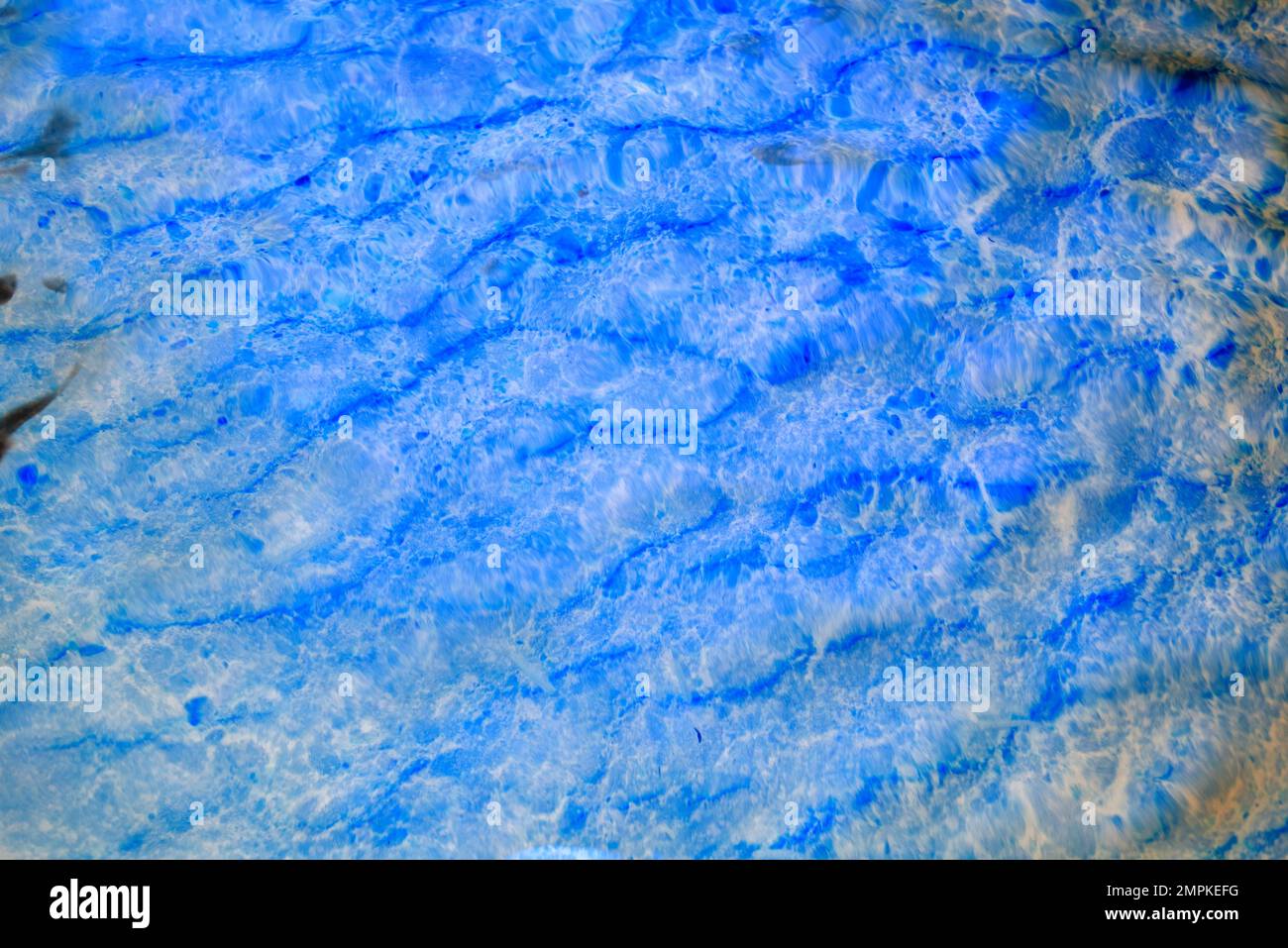 Abstract photo of glow in neon blue color of clear water texture with ...