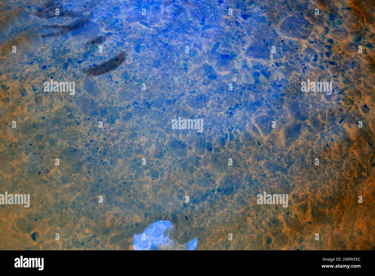Abstract photo of glow in neon blue color of clear water texture with ...