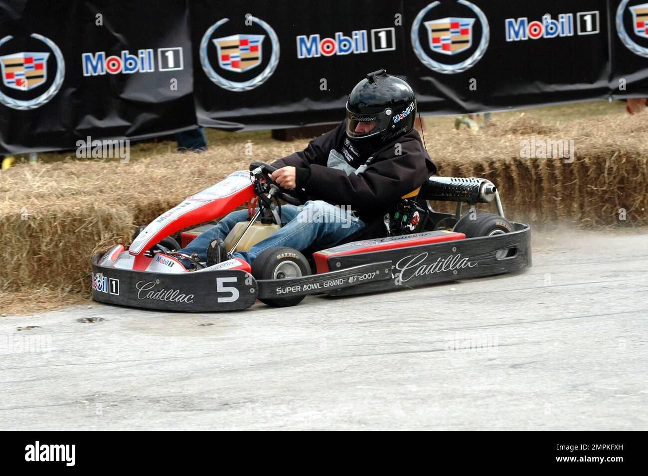 Celebrities Nick Lachey, Matt Leinart, Fergie, Queen Latifah, Vivica A ...