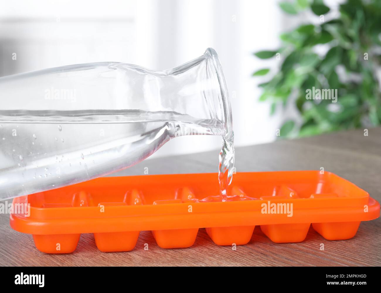 Refrigerate woman hi-res stock photography and images - Alamy