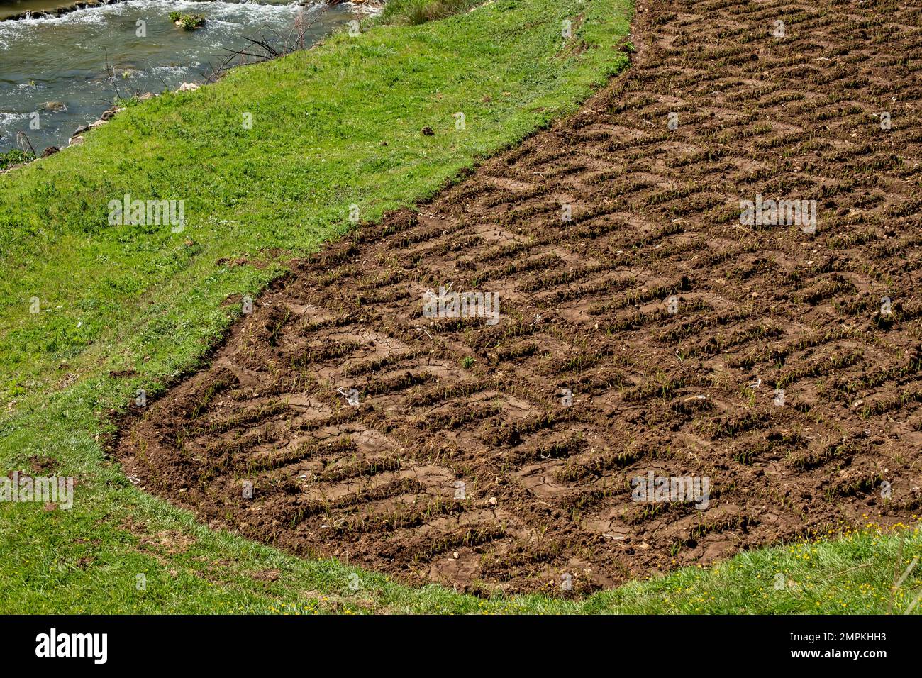 crop field, Ifran National Park, Middle Atlas, Morocco, Africa Stock ...