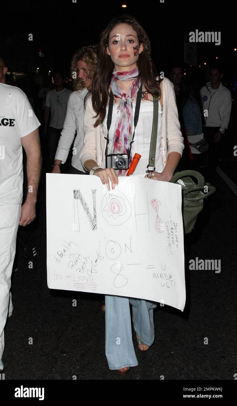 Celebrities Turn out in support of the Proposition 8 Rally to in Santa ...