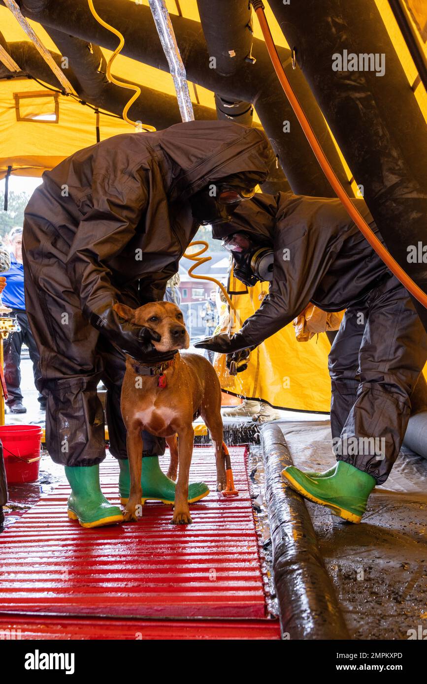 U.S. Marines with Chemical Biological Incident Response Force wash ...