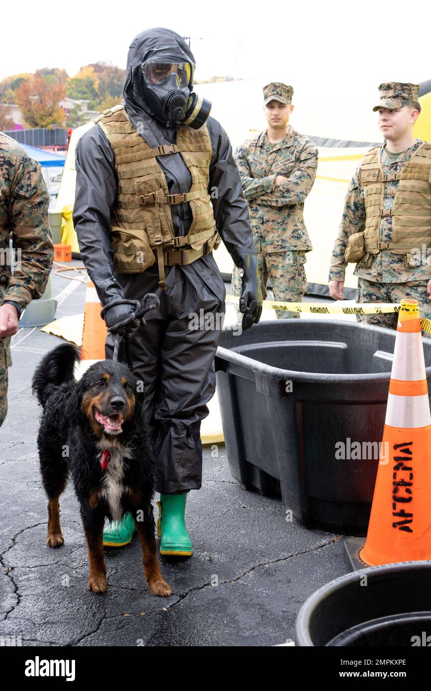 Usmcfeature hi-res stock photography and images - Alamy