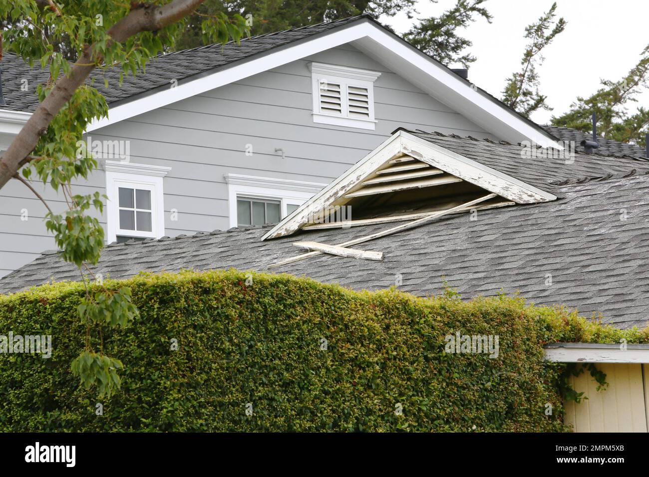 Charlie tear hi-res stock photography and images - Alamy