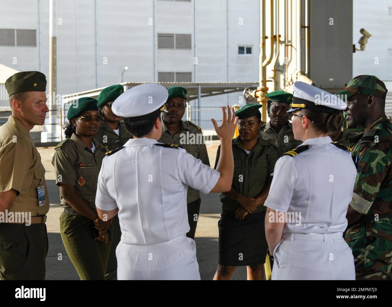 Hershelwilliams hi-res stock photography and images - Alamy