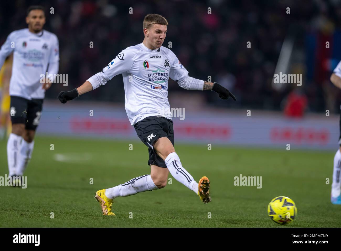 Tio Cipot (Spezia) during the Italian "Serie A match between Bologna 2 ...